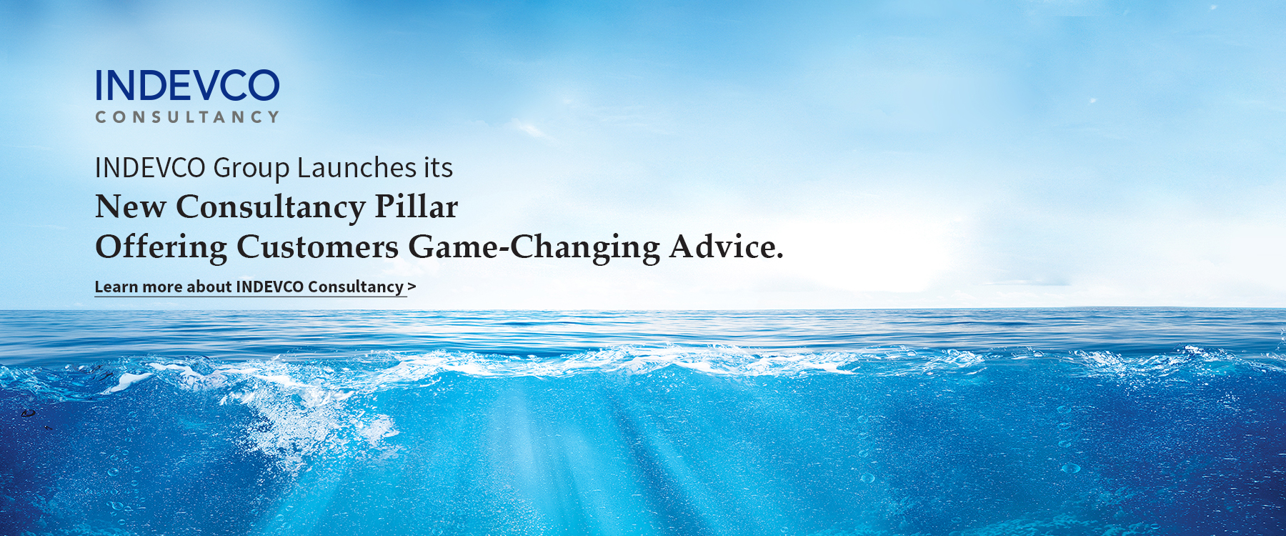 INDEVCO Group – INDEVCO Group – Multinational Company